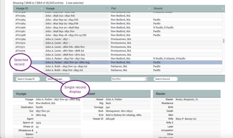 The Data Viewer Interface – Whaling History